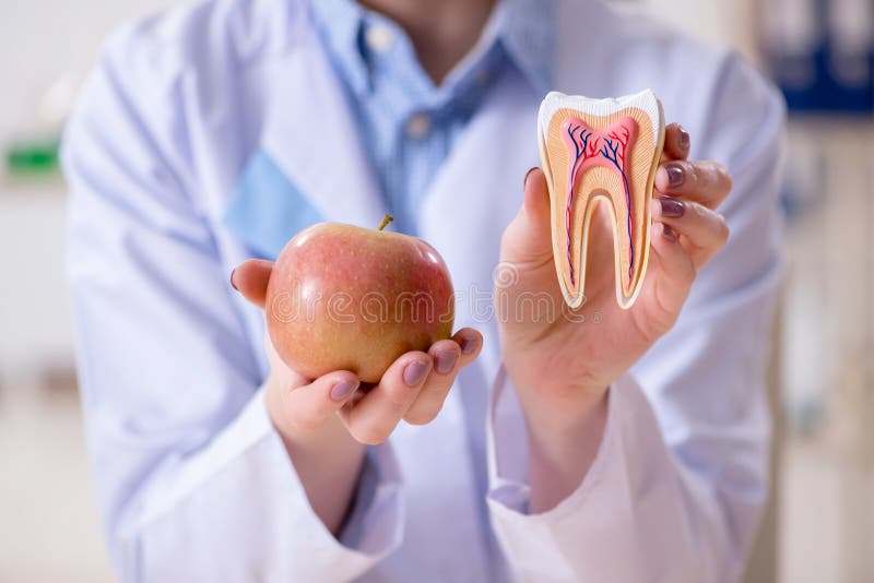The Dentist Practicing Work on Tooth Model Stock Photo - Image of molar ...