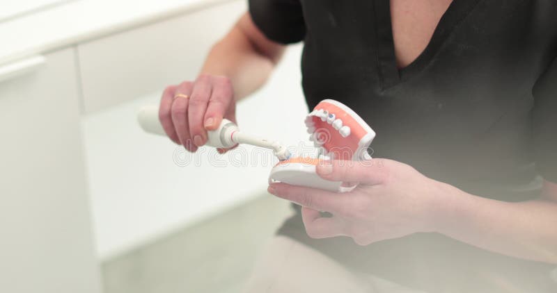 The Dentist S Hands Show on the Artificial Jaw the Rule of Brushing the ...