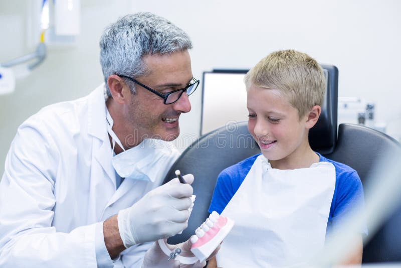 Dentist Showing Patient Model Of Teeth Stock Photo - Image of assistant ...