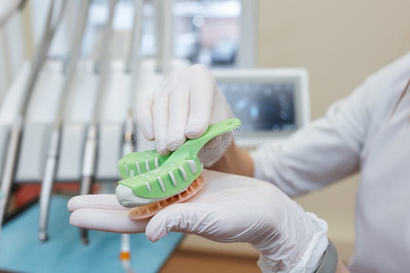 Dentist Shows the Patient a Model of the Jaw and Teeth Stock Image ...