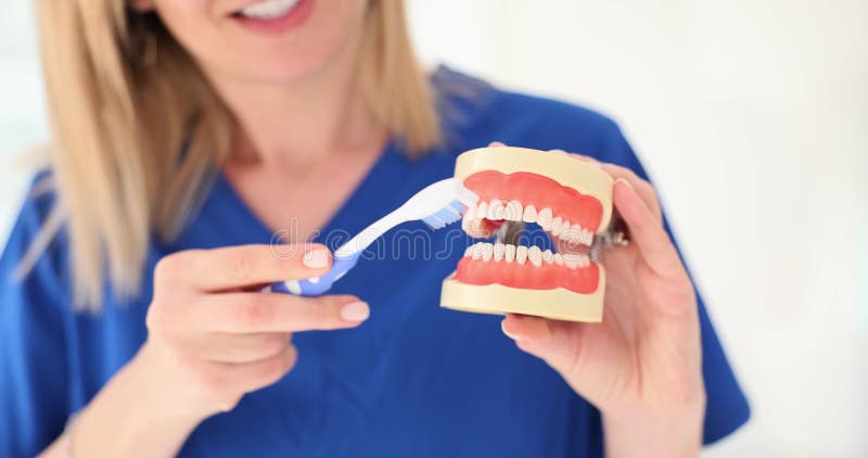Dentist Shows Teeth Cleaning Using Toothbrush on Jaw Model Stock Video ...