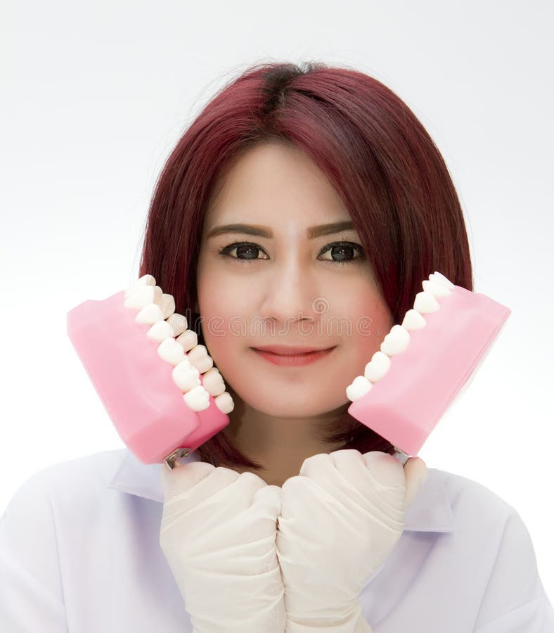 Dentist with the Teeth Model Stock Image - Image of face, fresh: 43760355