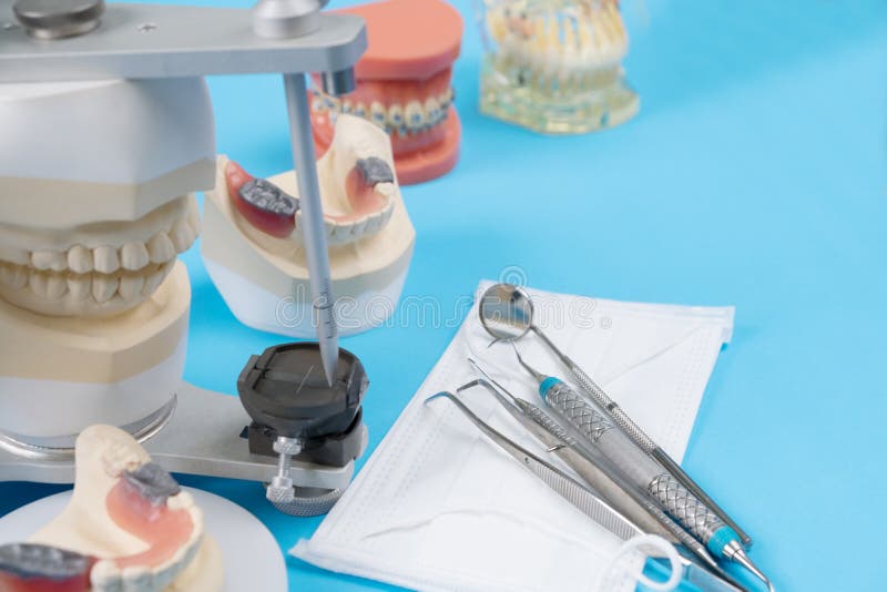 Dentist Tools and Prosthodontic Model. Stock Photo - Image of care ...
