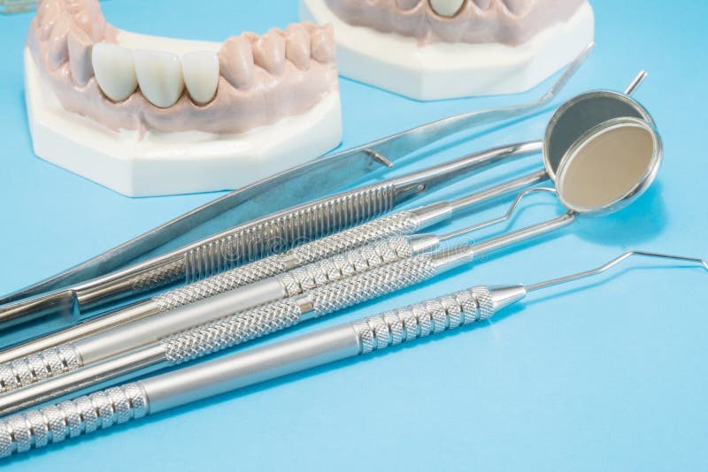 Dentist Tools and Prosthodontic Model. Stock Photo - Image of cost ...