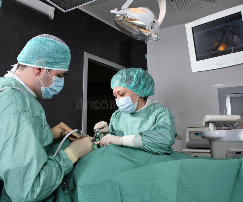 Dentist at work stock image. Image of clinical, oral - 17034531