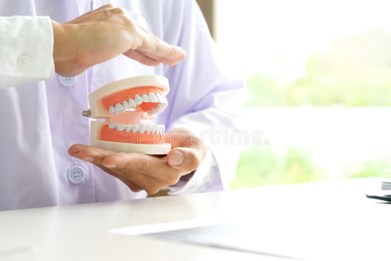 Dentist Work on the Table with Denture and Teeth X-ray Stock Image ...