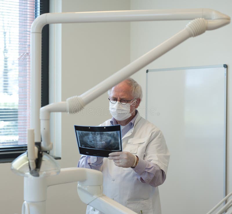 Dentist with xray in hand stock photo. Image of clinic - 27764996