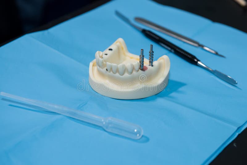 Dentistry Students on Teeth Study Stock Image - Image of dentist ...