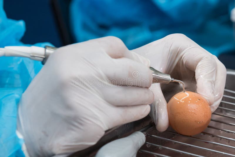 Dentistry Students on Teeth Study Stock Photo - Image of unreal ...