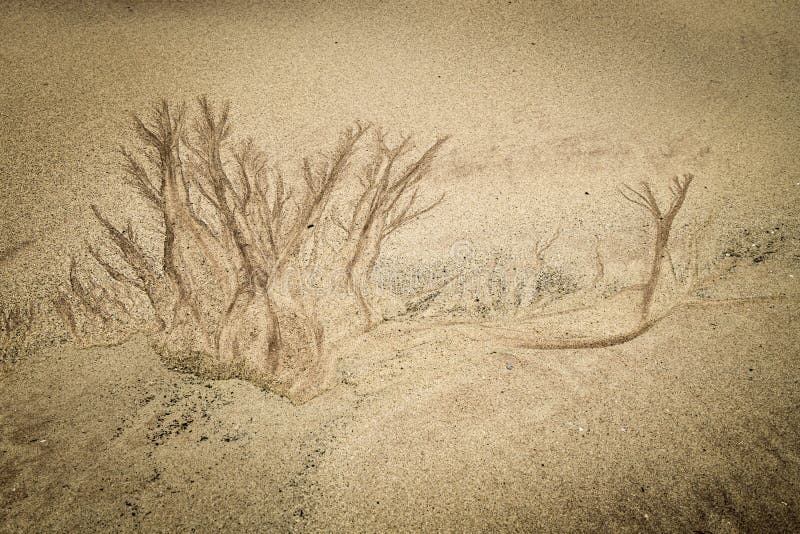 Dentritic Pattern Stock Photos - Free & Royalty-Free Stock Photos from ...