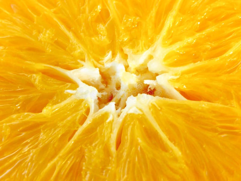 Dentro de naranja foto de archivo. Imagen de segmentos - 44151302