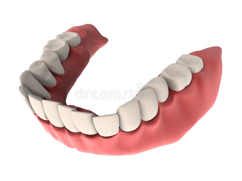 Human Denture Stock Illustrations – 6,589 Human Denture Stock ...