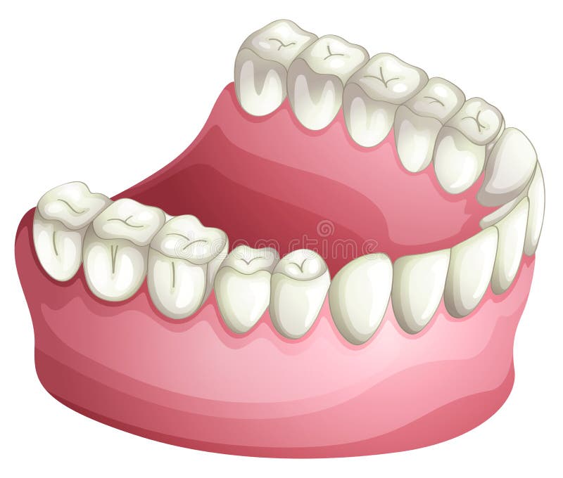 Sketch of the Denture in Glass and Pills Stock Vector - Illustration of ...