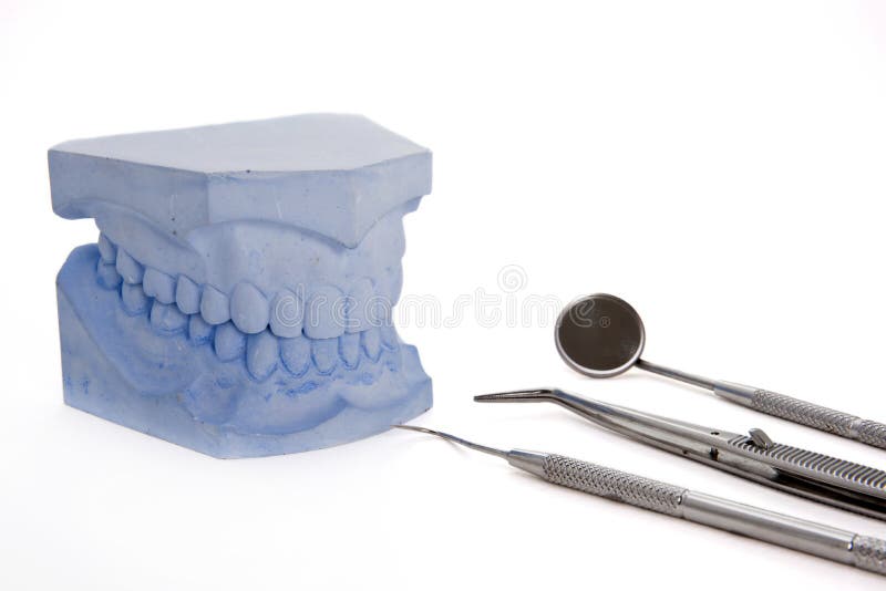 Denture Cast Model, Dental Tools Set Stock Photo - Image of dentures ...
