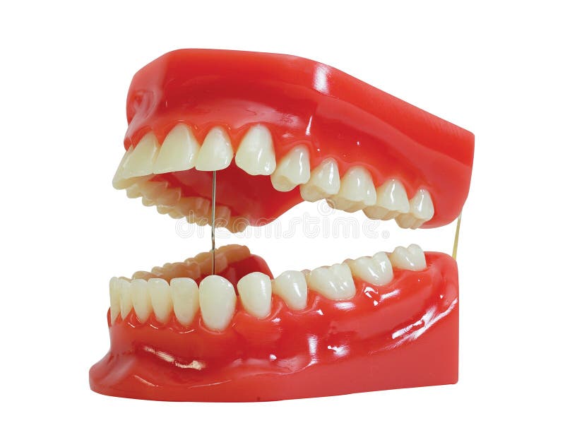 Denture stock image. Image of artificial, mouth, objects - 66595485
