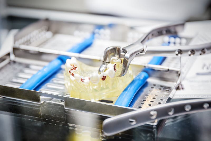 The denture sample stock photo. Image of dentist, care - 109740688