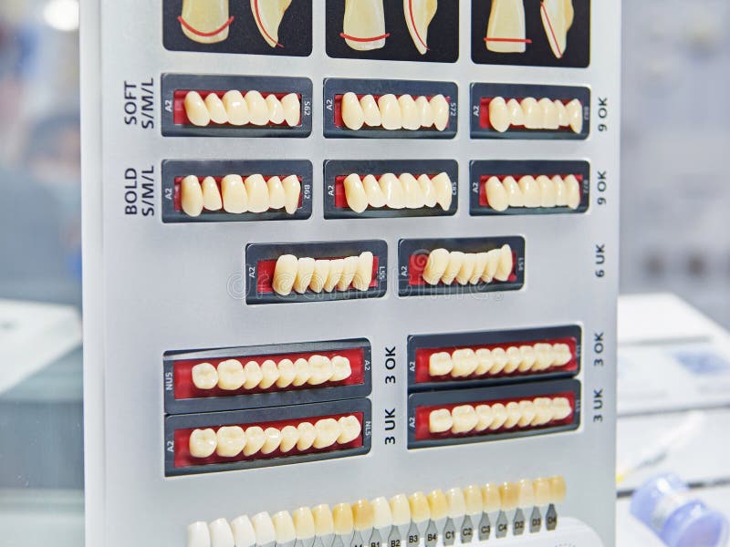 Denture teeth on stand stock photo. Image of smile, stomatology - 219208116