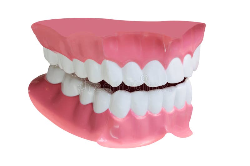 Dentures stock photo. Image of dental, prosthetic, mouth - 21382628