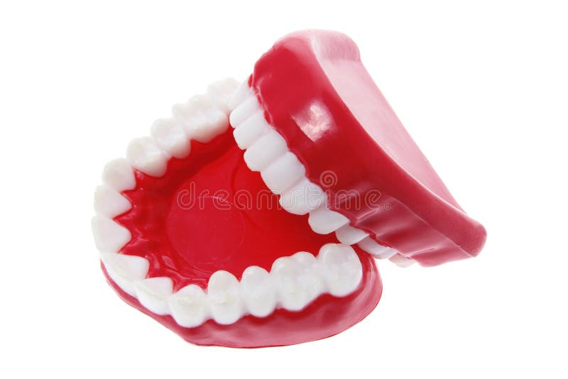 Toy teeth stock photo. Image of health, joke, chattering - 24051254