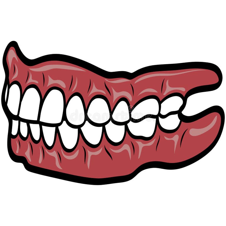 Dentures False Teeth Drawing Vector Illustration Stock Vector ...