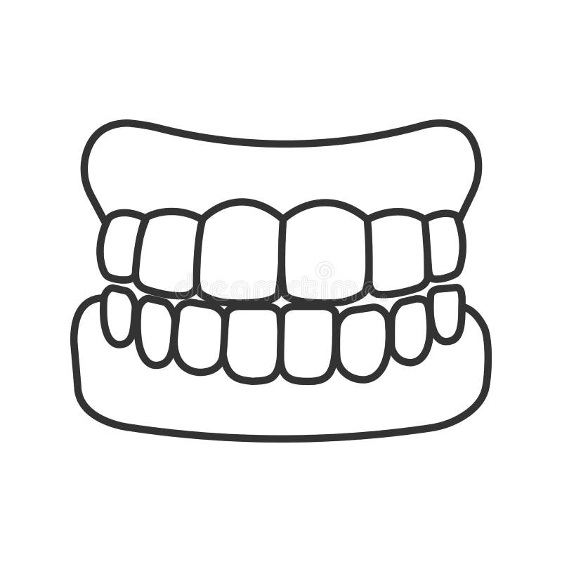 Dentures linear icon stock vector. Illustration of anatomy - 197603569