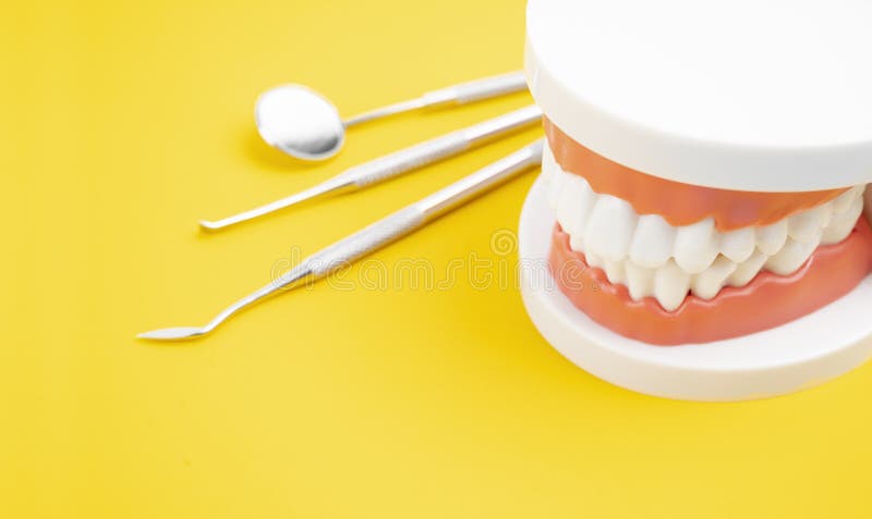 The Dentures Model and Instrument Dental on Yellow Background Stock ...