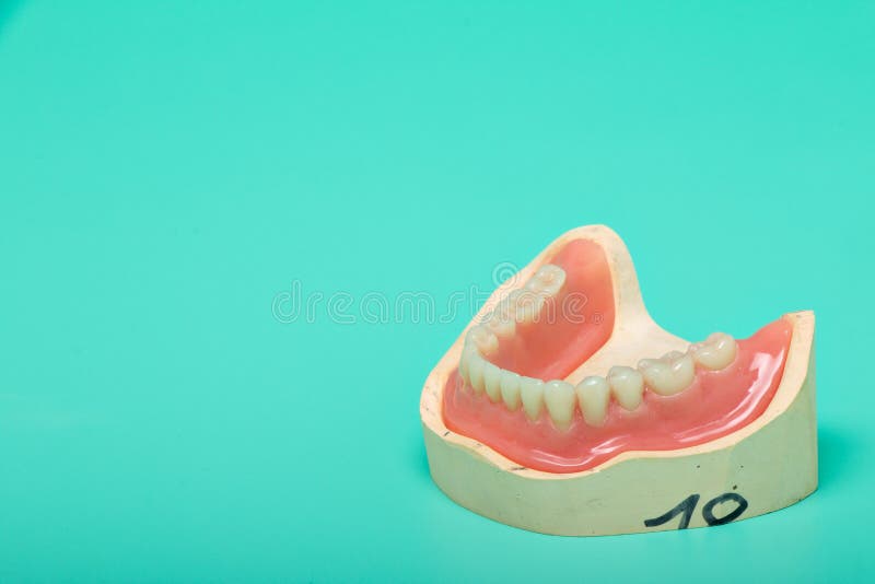 Dentures Model with Medical Instruments Stock Photo - Image of ...