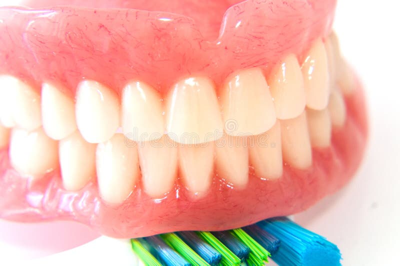 Dentures with toothbrush stock photo. Image of prosthetic - 68849222