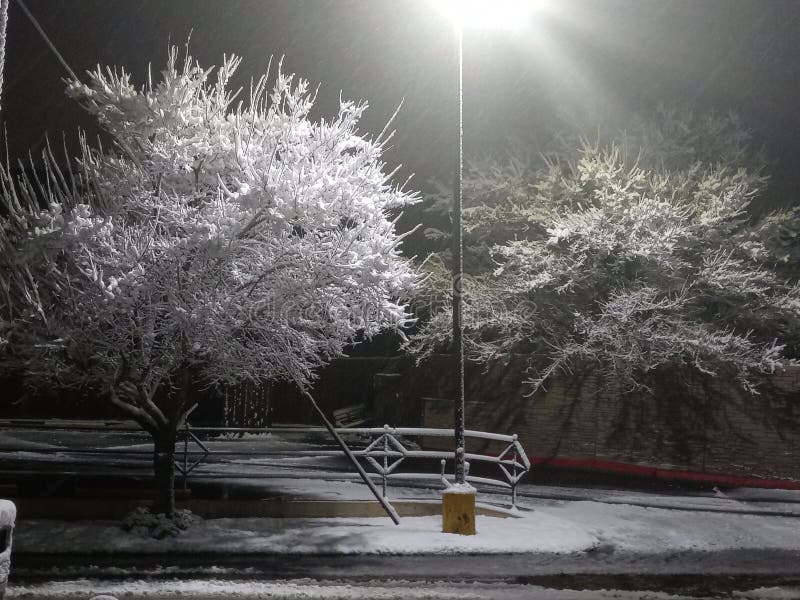 Denver on Ice stock image. Image of denver, winter, morning - 214268059