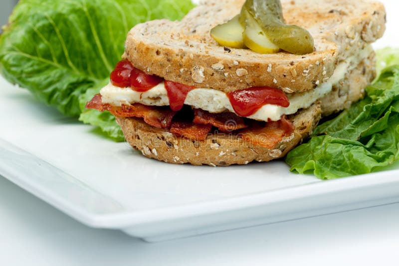 Denver Sandwich stock image. Image of roasted, eggs, omlet - 10827539