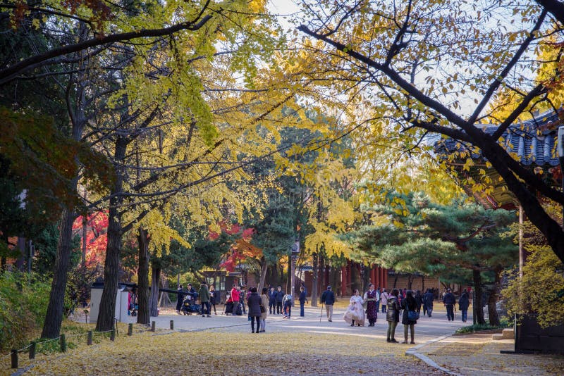 Ewha Campus Complex editorial photography. Image of complex - 36725697