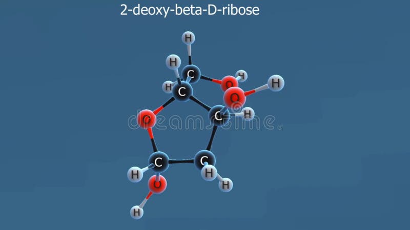 2-deoxy-beta-D-Ribose stock footage. Video of biochemical - 343419572