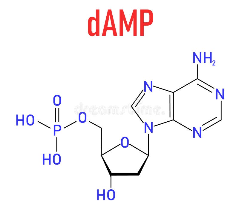 Deoxyadenosine Monophosphate Stock Illustrations – 16 Deoxyadenosine ...