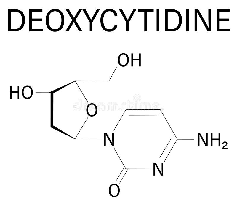 Cytidin Stock Illustrations – 54 Cytidin Stock Illustrations, Vectors ...