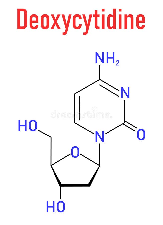 Deoxycytidine or DC Nucleoside Molecule. DNA Building Block. Skeletal ...