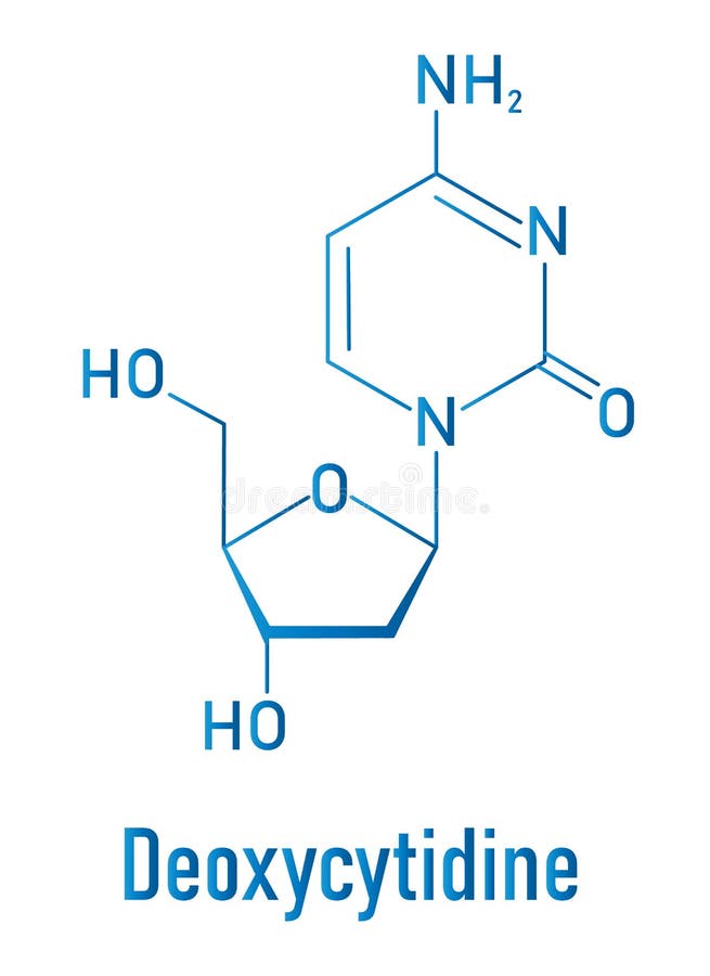 Deoxycytidine or DC Nucleoside Molecule. DNA Building Block. Skeletal ...