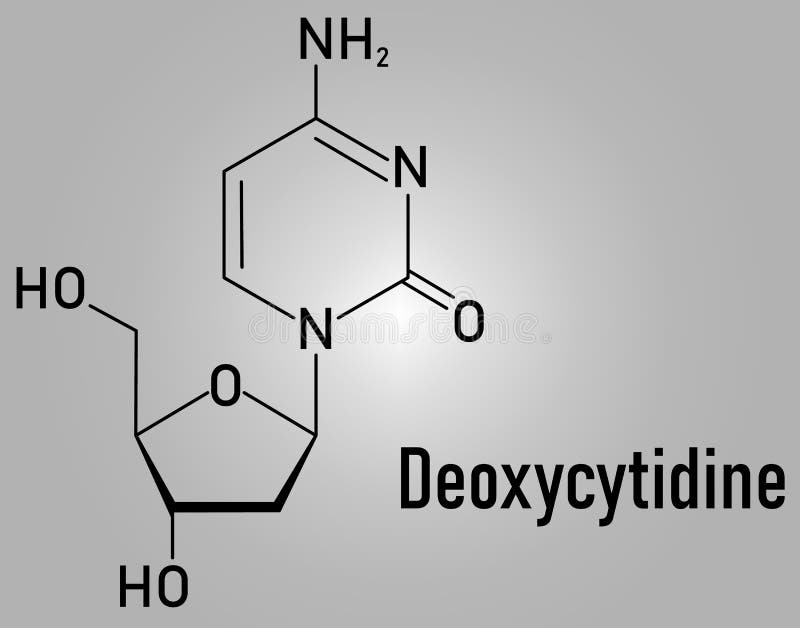 Deoxycytidine Triphosphate or DCTP Nucleotide Molecule. DNA Building ...
