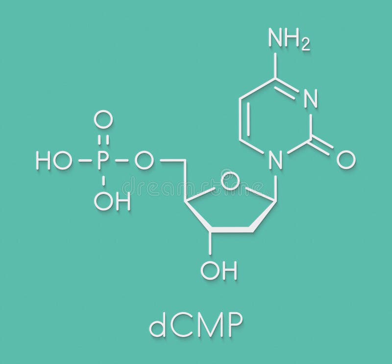 Deoxycytidine Monophosphate DCMP Nucleotide Molecule. DNA Building ...