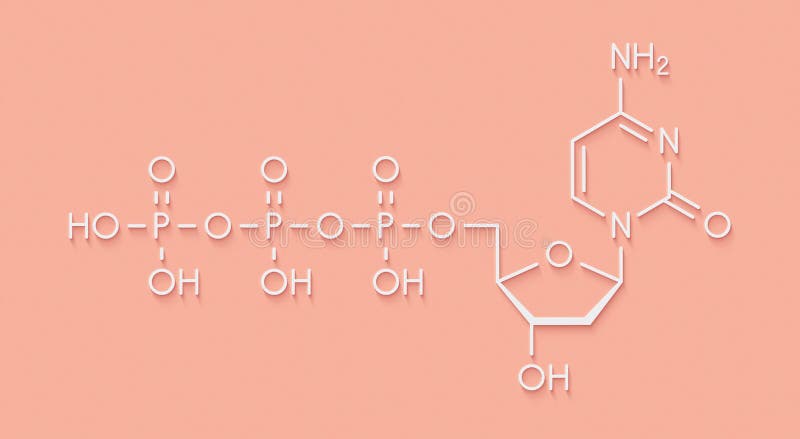 Deoxycytidine Triphosphate or DCTP Nucleotide Molecule. DNA Building ...