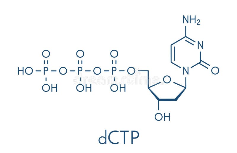 Deoxycytidine Monophosphate DCMP Nucleotide Molecule. DNA Building ...