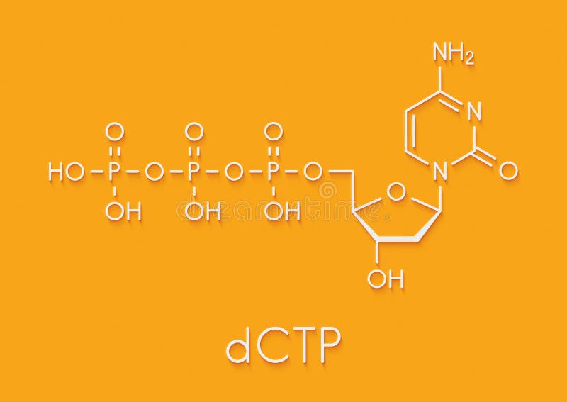 Deoxycytidine Monophosphate DCMP Nucleotide Molecule. DNA Building ...