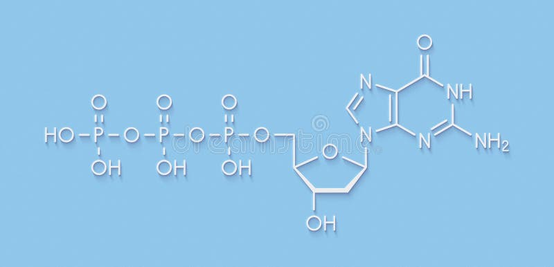 Deoxyguanosine Monophosphate DGMP Nucleotide Molecule. DNA Building ...