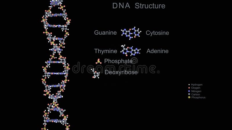 3D Render DNA Structure stock illustration. Illustration of cells ...