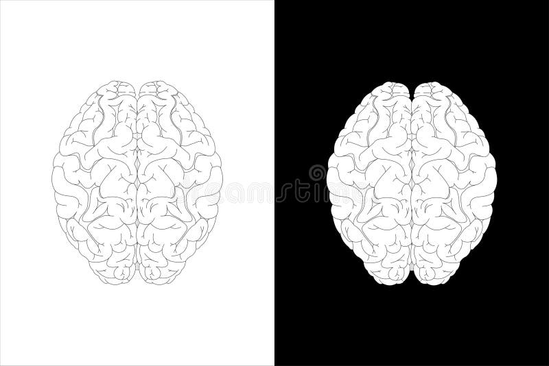 Overhead Perspective Stock Illustrations – 848 Overhead Perspective ...