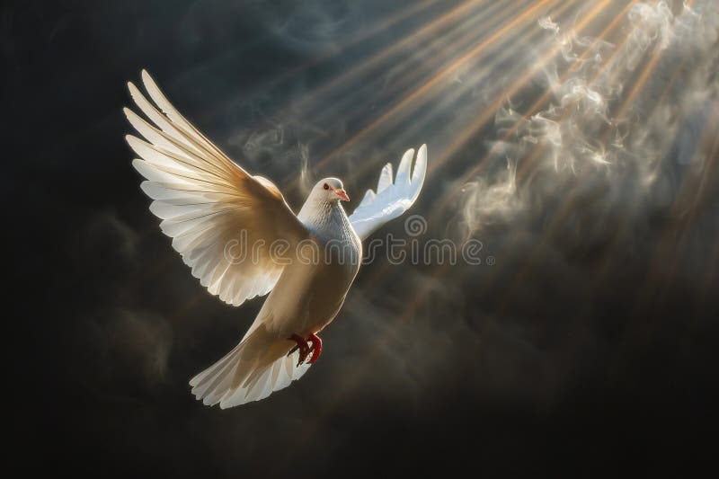 Depicting a White Dove Flying in the Sky, Surrounded, High Quality ...