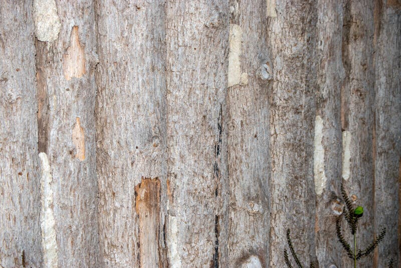 Depiction of Old Time Log Structure Stock Image - Image of poles, farm ...