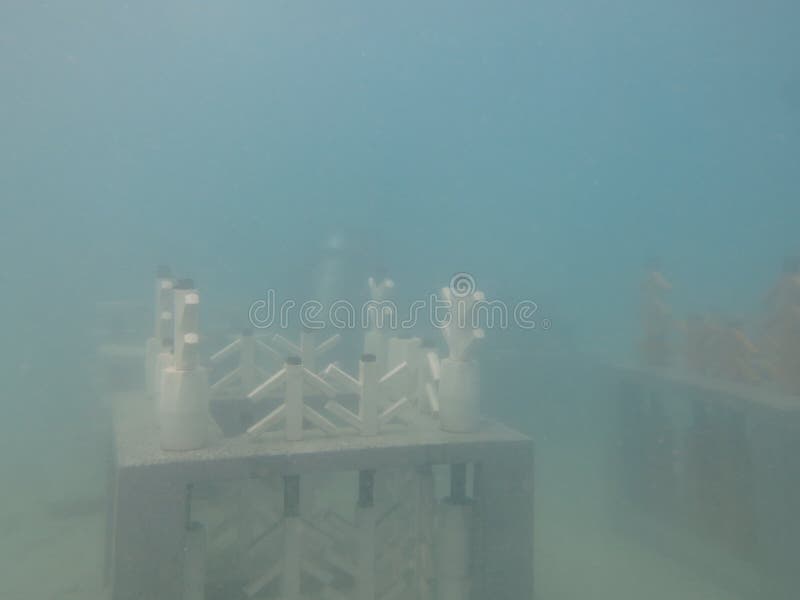 Deployed Artificial Reef at Redang Island Stock Photo - Image of island ...