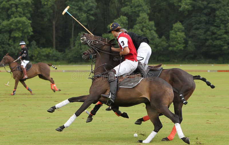 Deportes del polo imagen editorial. Imagen de argentina - 25641645