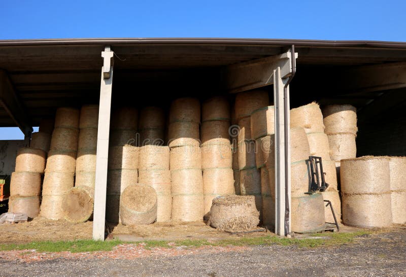 Deposit Bale of Dry Hay in the Farm Shed Stock Image - Image of ...