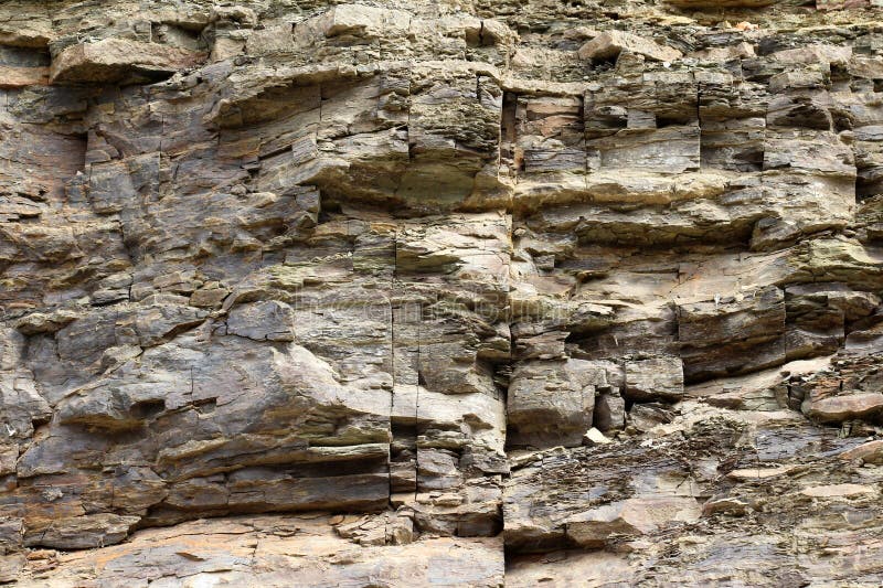 Deposits of the Upper Devonian Mudstone and Siltstone Horizon Stock ...